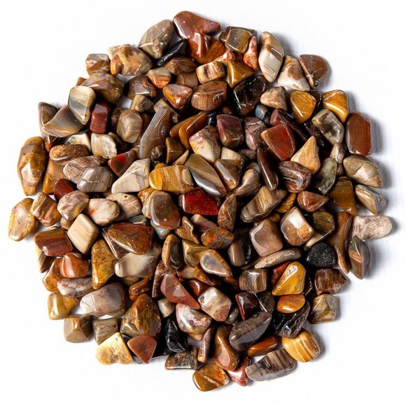 Tree Of Life Gems | Office | Lb Tumbled Petrified Wood Gemstone ...